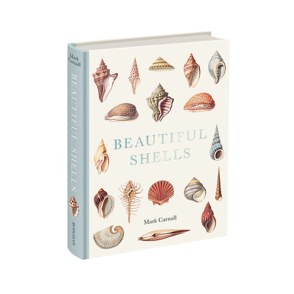 Beautiful Shells – Bodleian Libraries